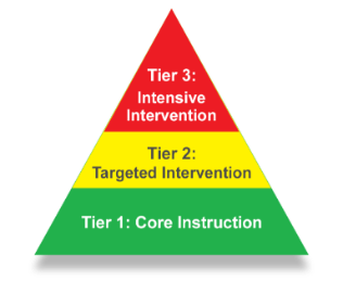 Multi-Tiered Systems of Support (MTSS)